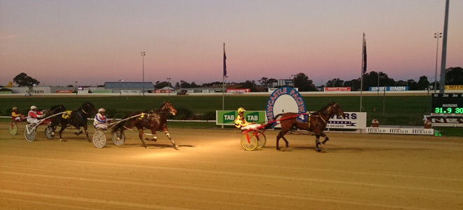 Australian Made Sulkies | Bolt Sulky Innovations Pty Ltd