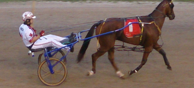 Australian Made Sulkies | Bolt Sulky Innovations Pty Ltd